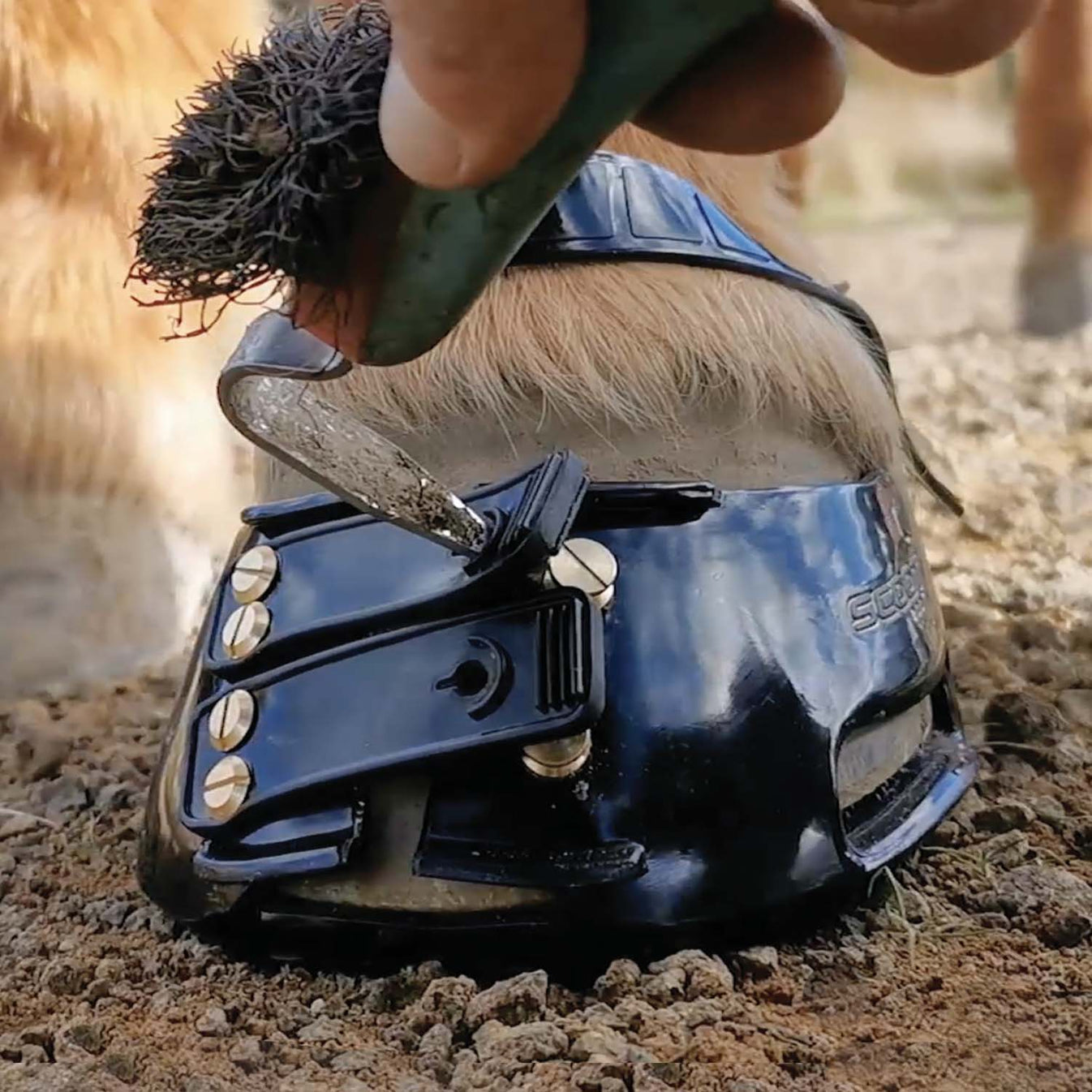 Hoof Boots For All Terrain Riding - Scootboot